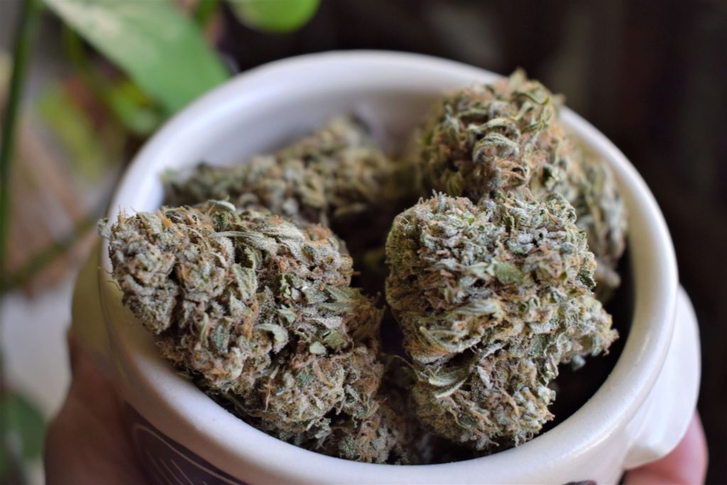 Lifter CBD, Strain Benefits and Side Effects I CBD Flower USA
